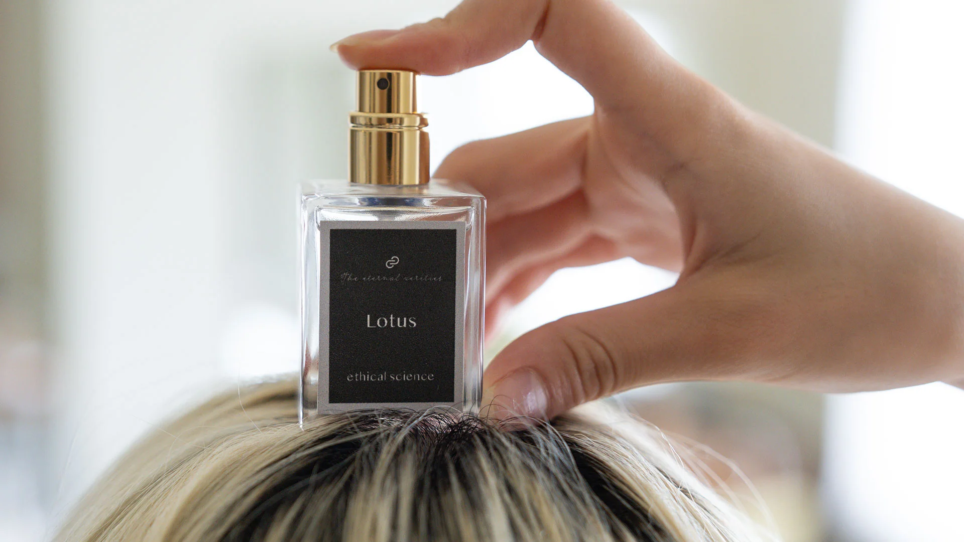 イコール・ザ エターナルベリティーズ公式ストア